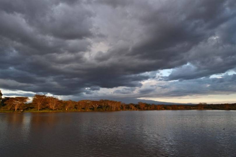 Tambuzi - Greenspoon