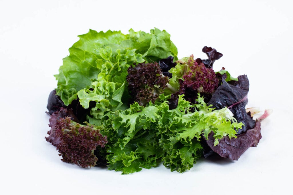 Yurinchi Japanese Chicken - Greenspoon