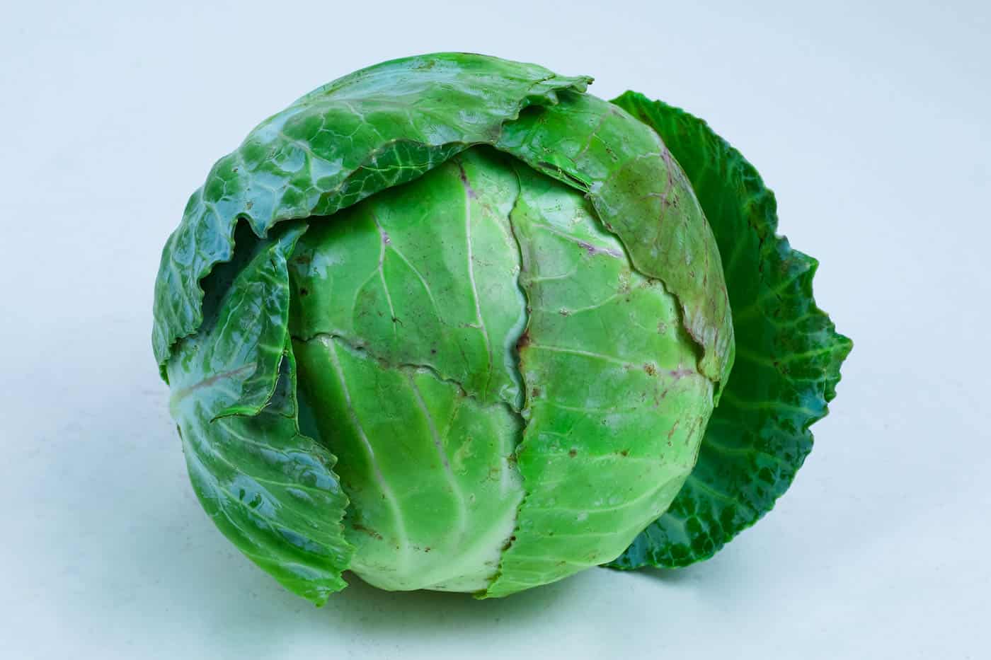 ForestFoods Certified Organic White Cabbage - 1 Piece - Greenspoon